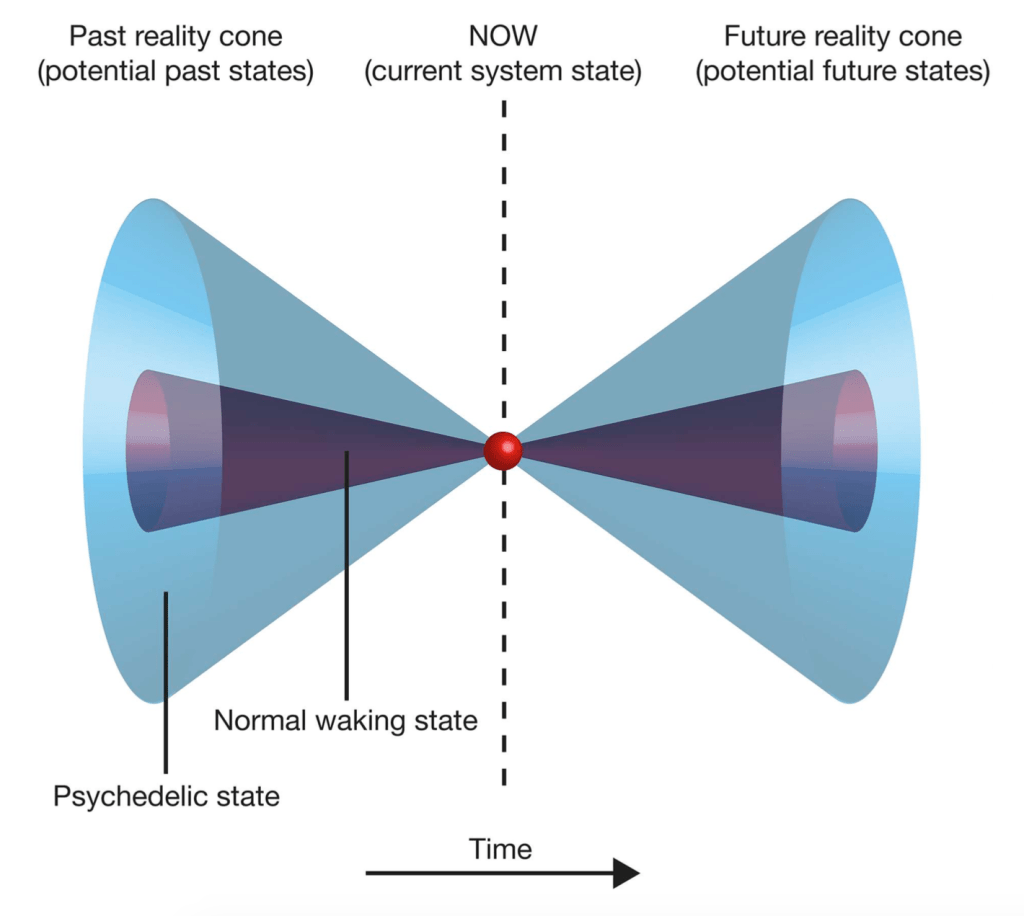 Can integrated information theory explain the psychedelic experience ...