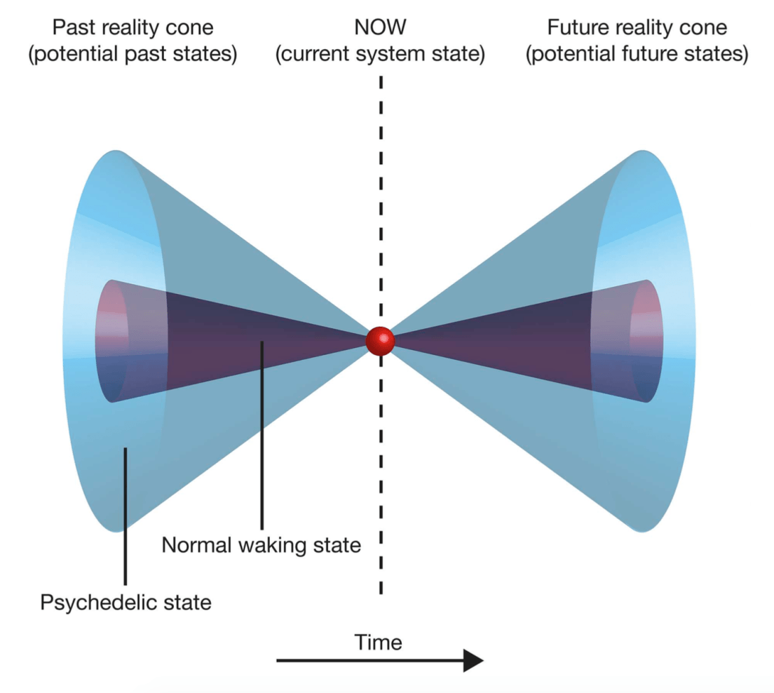 Can integrated information theory explain the psychedelic experience ...